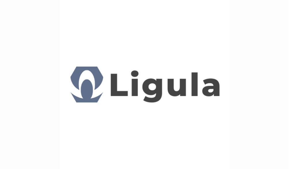 株式会社Ligula | 公式ホームページ